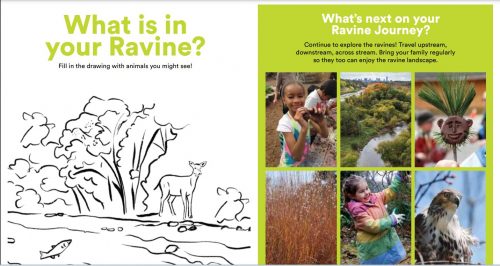 Ravine Play Activity Book - Evergreen Resource Hub