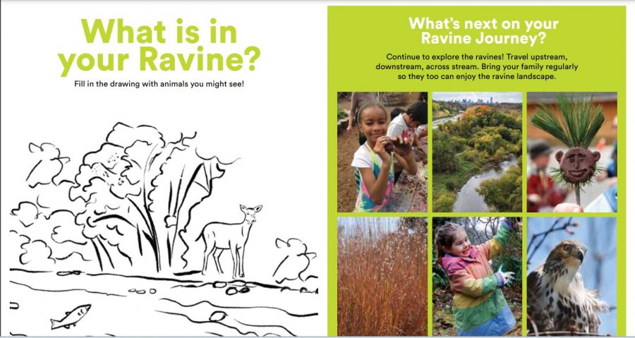 Ravine Play Activity Book - Evergreen Resource Hub