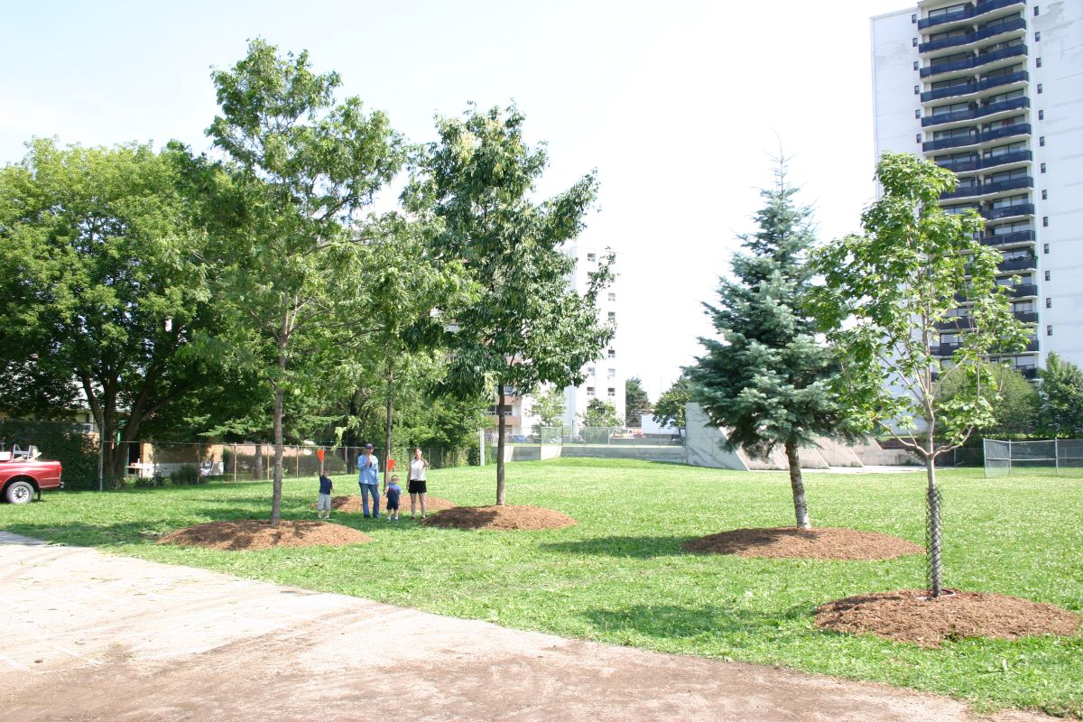 A Climate Ready Schools guide to designing for shade - Evergreen ...